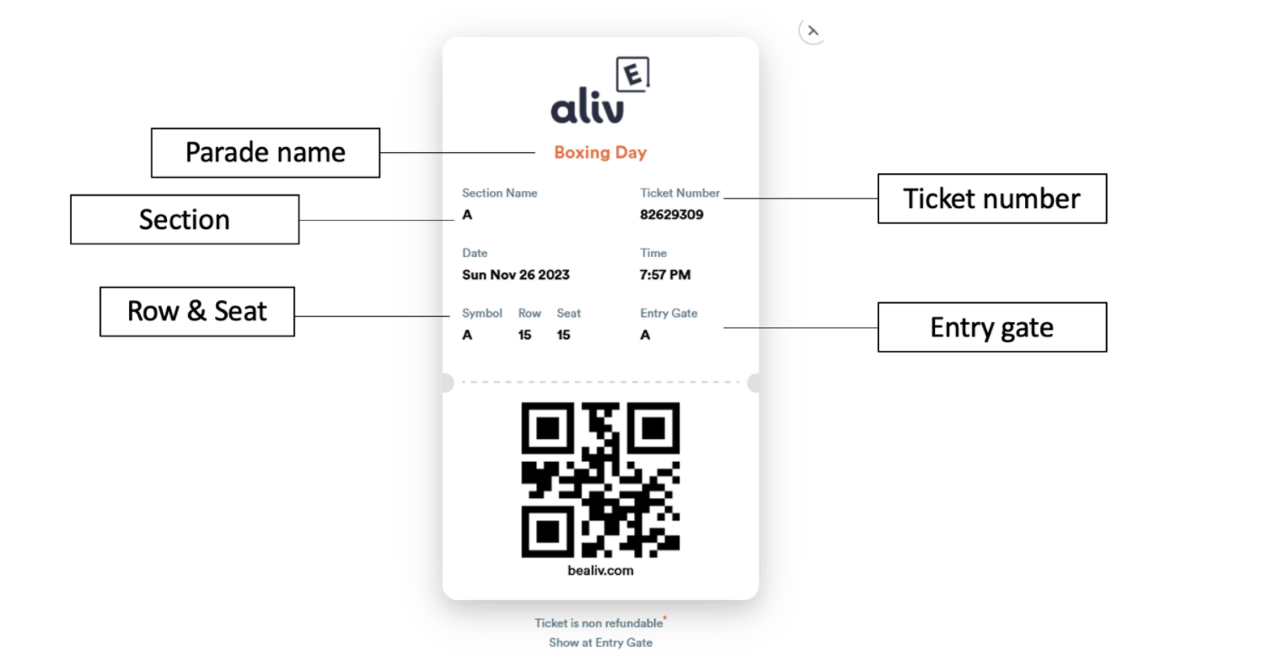 The ALIV Junkanoo Experience Ticket Guide - ALIV